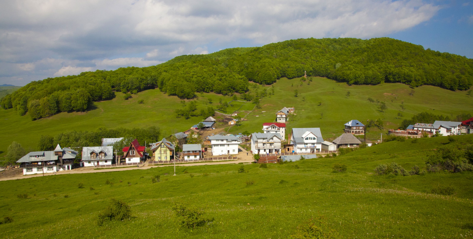 Tabara Valea Screzii Asociatia Pro Vita